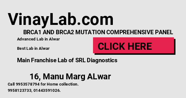 BRCA1 AND BRCA2 MUTATION COMPREHENSIVE PANEL test in Alwar